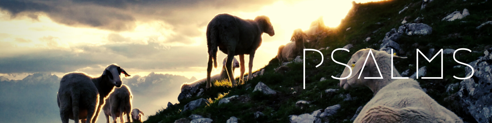 #3 Psalm 51 | Trinity Church Modbury