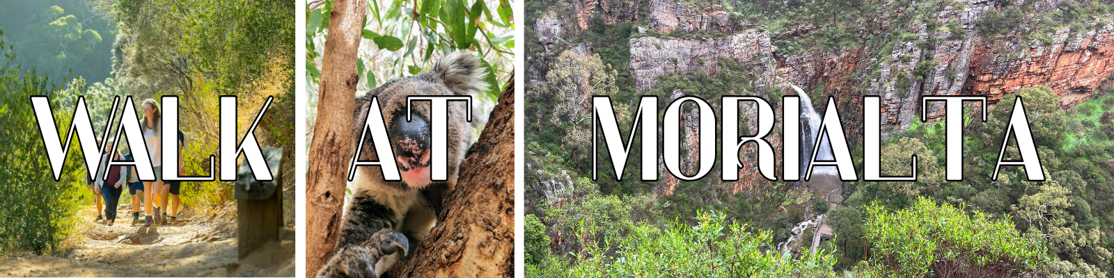 Walk at Morialta | Trinity Church Modbury